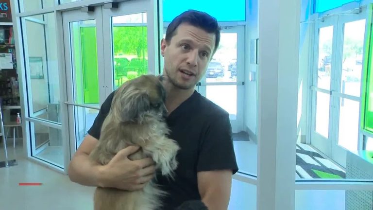 Magician Mat Franco teams up The Animal Foundation for upcoming ...