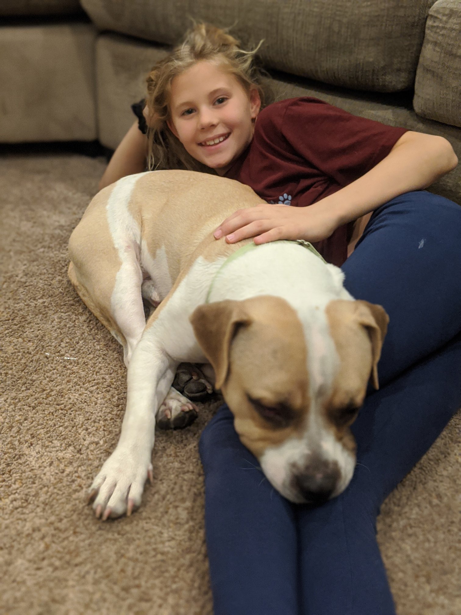 The Animal Foundation Nominates Foster Hero - The Animal Foundation