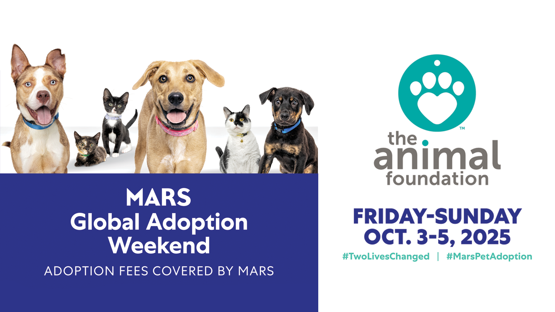 Mars Global Adoption Weekend - The Animal Foundation