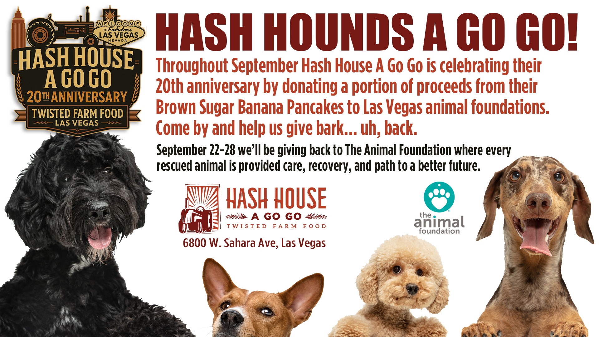 Hash Hounds A Go Go - The Animal Foundation