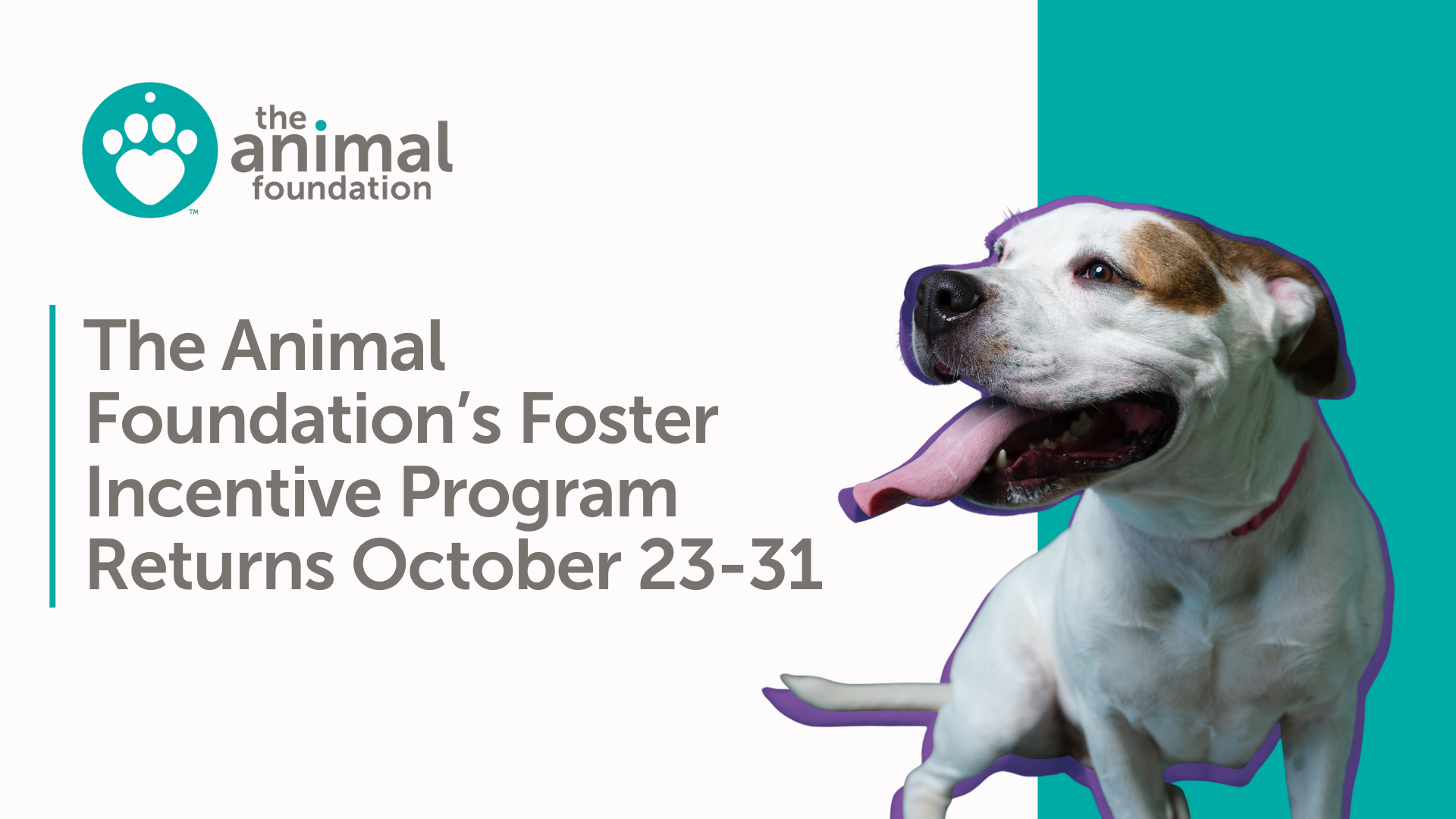 The Animal Foundation