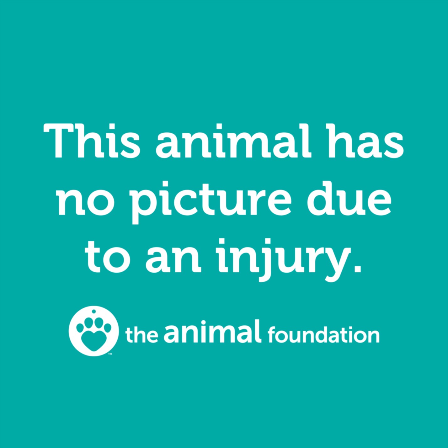 A1407009 - The Animal Foundation