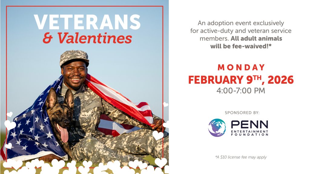 Veterans & Valentines | An Adoption Event Honoring Those Who Serve ...