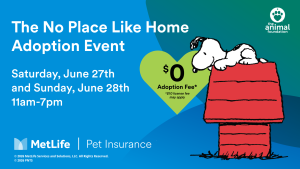 The No Place Like Home Adoption Event - The Animal Foundation